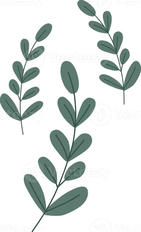 Leaf Element Minimal Style PNG