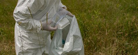 쓰레기를 수거하고 생태 개념 자원 봉사자 플라스틱 재활용 지구를 구하고 지구를 깨끗하게 유지 환경을 청소하는 남자 50 54세에 대한 스톡 사진 및 기타 이미지 Istock