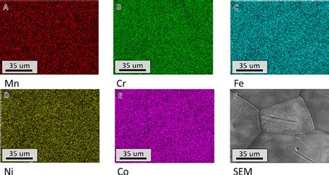 sem eds map showing full reduction and homogenous distribution of