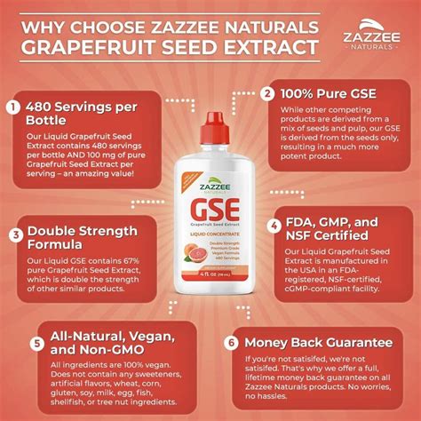 Zazzee GSE Grapefruit Seed Extract 4 Ounces, 100 mg Strength, 480 ...