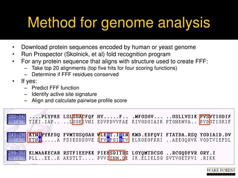 Ppt Structure Based Analysis Of Protein Function Powerpoint Presentation Id 1123003