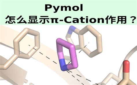 pymol 用pseudoatom展示pi cation相互作用 哔哩哔哩 bilibili