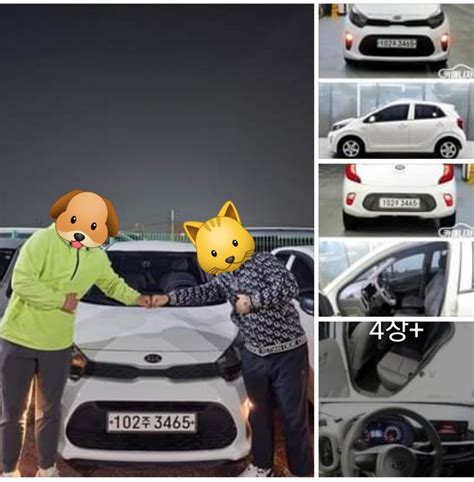 새차 같은 중고차 자동차 에펨코리아