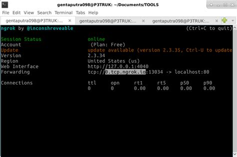 Cara Backconnect Web Shell Dengan Ngrok Dan Netcat