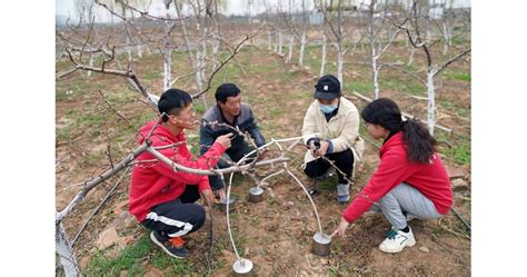 Си Дзинпин отговори на писмо на студенти от Китайския селскостопански университет