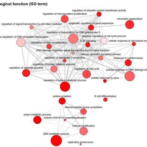 Regulation Of The Myc Gene And Functions Of Myc Shown Are Pathways