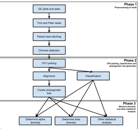S Data Processing And Microbiome Analysis H Abionet Standard Operating Procedures
