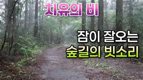 잠이 잘오는 숲길의 빗소리 불면증과 이명 치료를 위한 빗소리 백색소음 Asmr 3시간 Youtube
