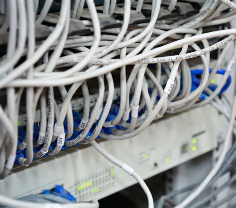 Ethernet Cables Connected To Computer Internet Server Stock Photo Image Of Wired Computer