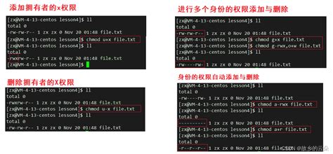 【linux权限的概念】 csdn博客