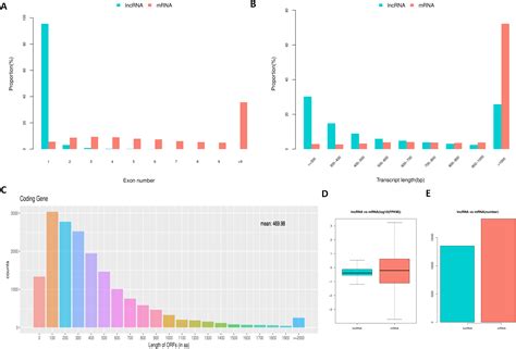 Genome Wide Analysis Of Long Non Coding Rna Expression Profile In