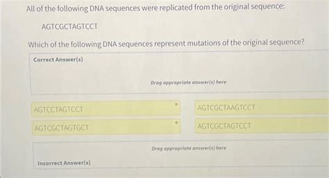 Solved All Of The Following DNA Sequences Were Replicated Chegg
