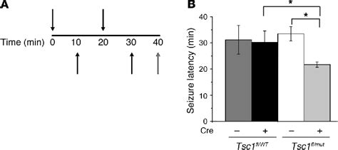 Figure 7 From Single Cell Tsc1 Knockout During Corticogenesis Generates