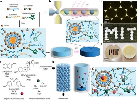 On Linkedin Engineers Create A Zwitterionic Hydrogel System