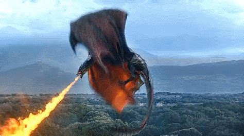 Drogon The Winged Shadow Game Of Thrones Art Got Dragons Game Of