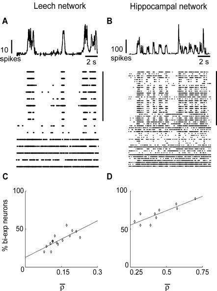 Ab Network Firing Rate Upper Panel And Raster Plot Lower Panel