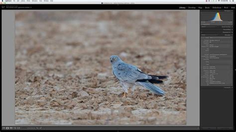 What Is EXIF Data PhotographyAxis