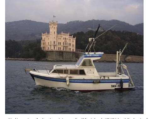 Figure 1 From Effects Of Ambient And Boat Noise On Hearing And Communication In Three ﬁsh