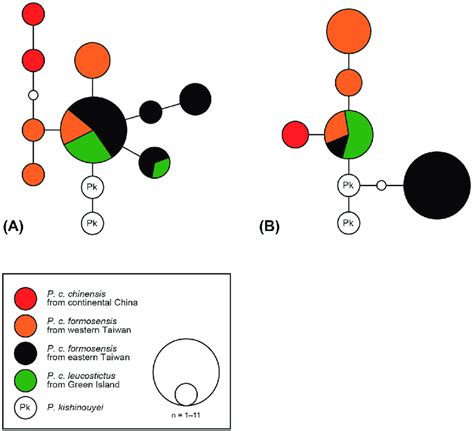 Median Joining Networks Of The Rag 1 A And Prlr B Datasets Open