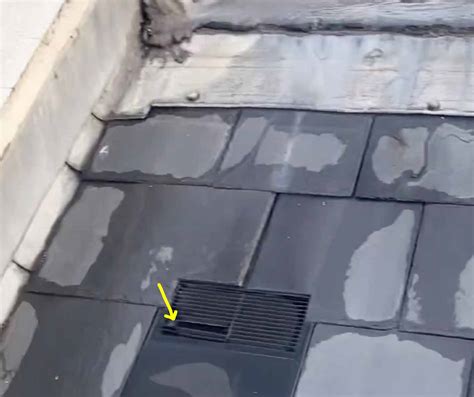 Interstitial Condensation Suspected Damp Surveys Ltd