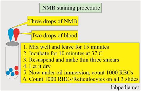 Reticulocyte Count Retic Count And Interpretations