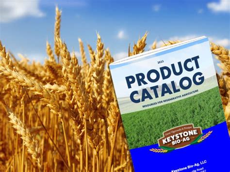 Benefits Of Buffer Strips Around Your Fields Cover Crop Seeds For