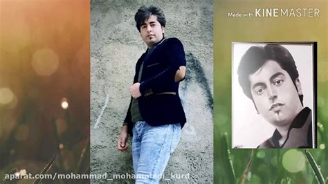 محمد محمدی مریوانی طراح و نقاش دارای گواهینامه نقاشی و جزو نقاشان حرفه‌ای