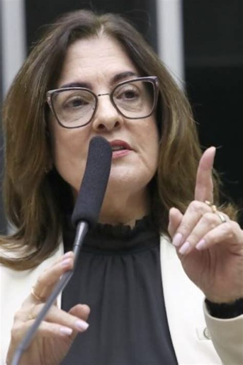 Incêndio Destrói Centena De Moradias Em Comunidade Em Santos