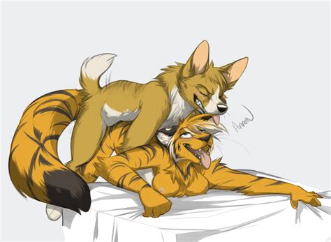 Rule 34 2014 Anthro Breasts Canine Closed Eyes Corgi Doggy Style