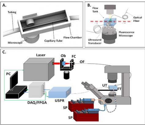 Ovarian Cancer Detection Using Photoacoustic Flow Cytometry Scientific