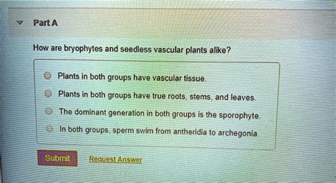 How Are Bryophytes And Seedless Vascular Plants Alike Plants In Both Groups Have Vascular