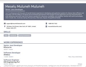 Download Free Senior Java Developer Resume Template On ResumeThatWorks Com