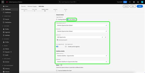 Create A Marketo Engage Source Connection And Dataflow In The Ui