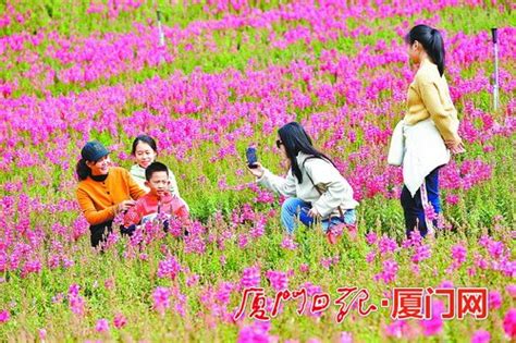 厦门山海健康步道林海线二期开放首日 休闲旅游 东南网厦门频道