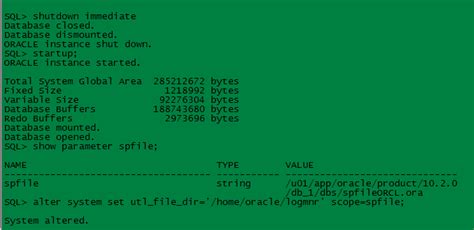 Ora 02095 Specified Initialization Parameter Cannot Be Modified 雅冰石