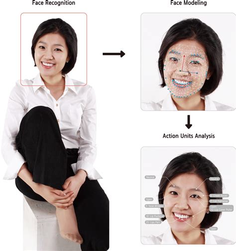 Face Modeling Using Active Appearance Model Download Scientific Diagram