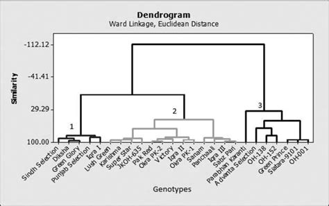 dendrogram grouping okra genotypes into clusters download scientific