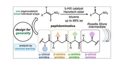 Generality Driven Catalyst Development A Universal Catalyst For Enantioselective Nitroalkene