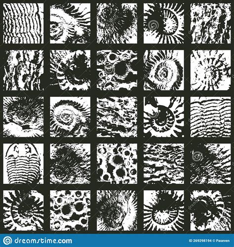 Abstact Seamless Pattern Background With Sea Stone Texture Vector