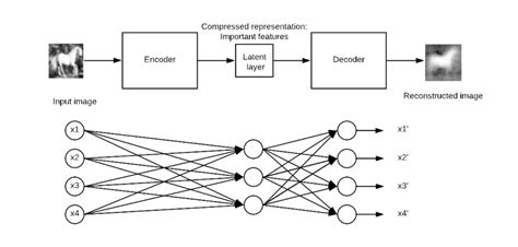 Autoencoder De TensorFlow Conjunto De Datos Con Ejemplo De Aprendizaje Profundo Tutorial De