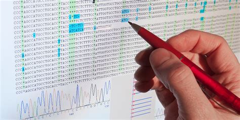 Shotgun Reads Next Generation Sequencing And Bioinformatics Data Analysis Services