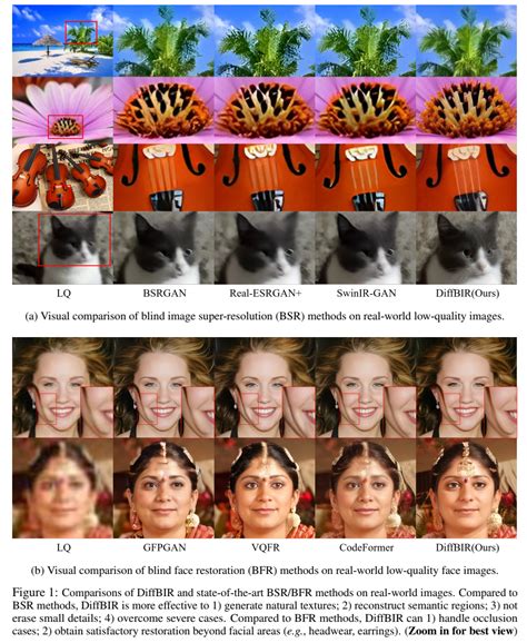 diffbir towards blind image restoration with generative diffusion prior csdn博客