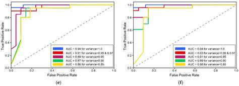 Symmetry Free Full Text Analyzing The Effect Of Filtering And Feature Extraction Techniques