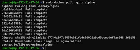 Deploying Wordpress With Docker And Hosted Behind A Reverse Proxy By