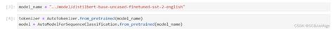 transformers里的autotokenizer和automodel的原理分析（一） csdn博客