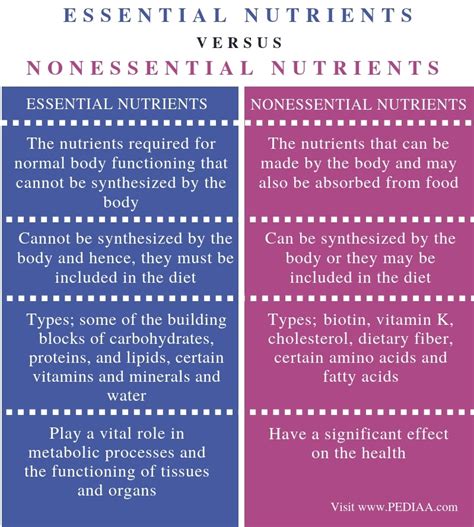 Non Energy Nutrients Definition At Jennifer Colbert Blog