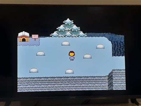 why is nothing spawning genocide route r undertale