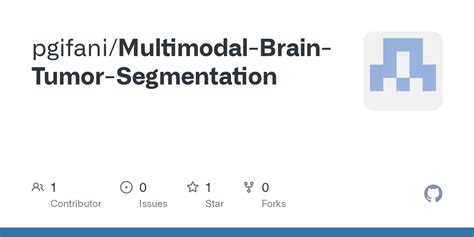 Github Pani Multimodal Brain Tumor Segmentation