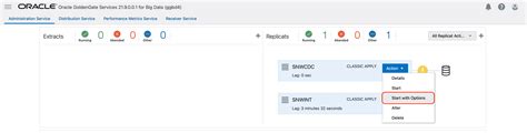 Using Oci Goldengate For Snowflake Initial Load And Real Time Data Sync