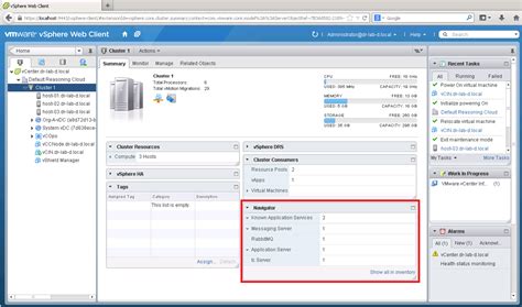 Building Vcloud Suite Poc Part 22 Configure Vcenter Infrastructure Navigator Default Reasoning